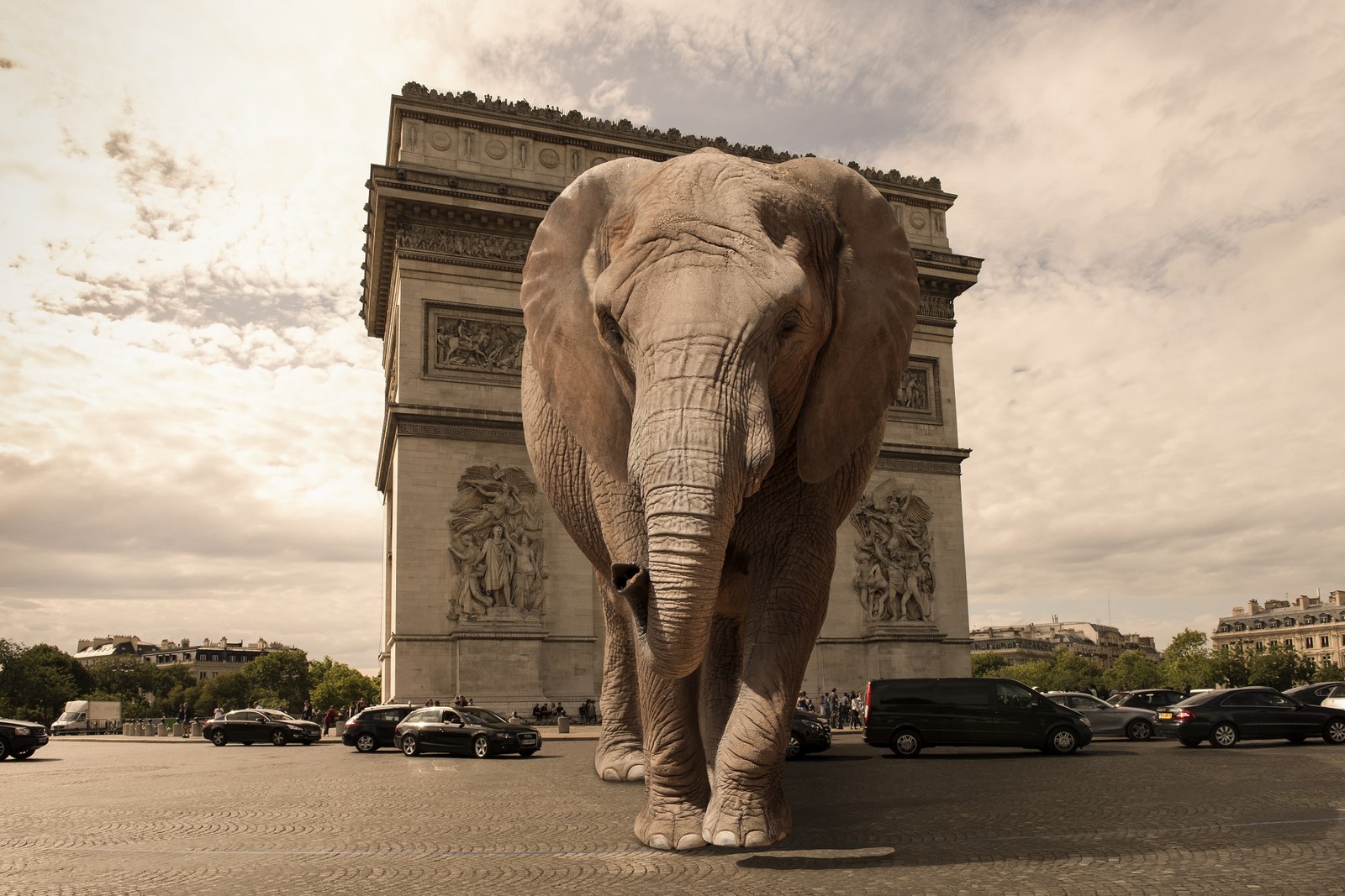 Un éléphant à Paris II